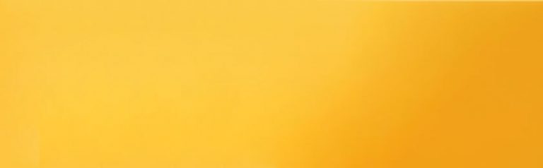 Implementation Capacity for Triple P